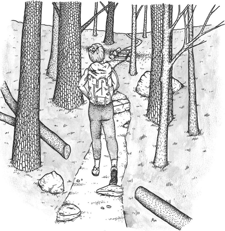 Trail Anatomy 101: Hiking Trail Types and Features | Appalachian ...