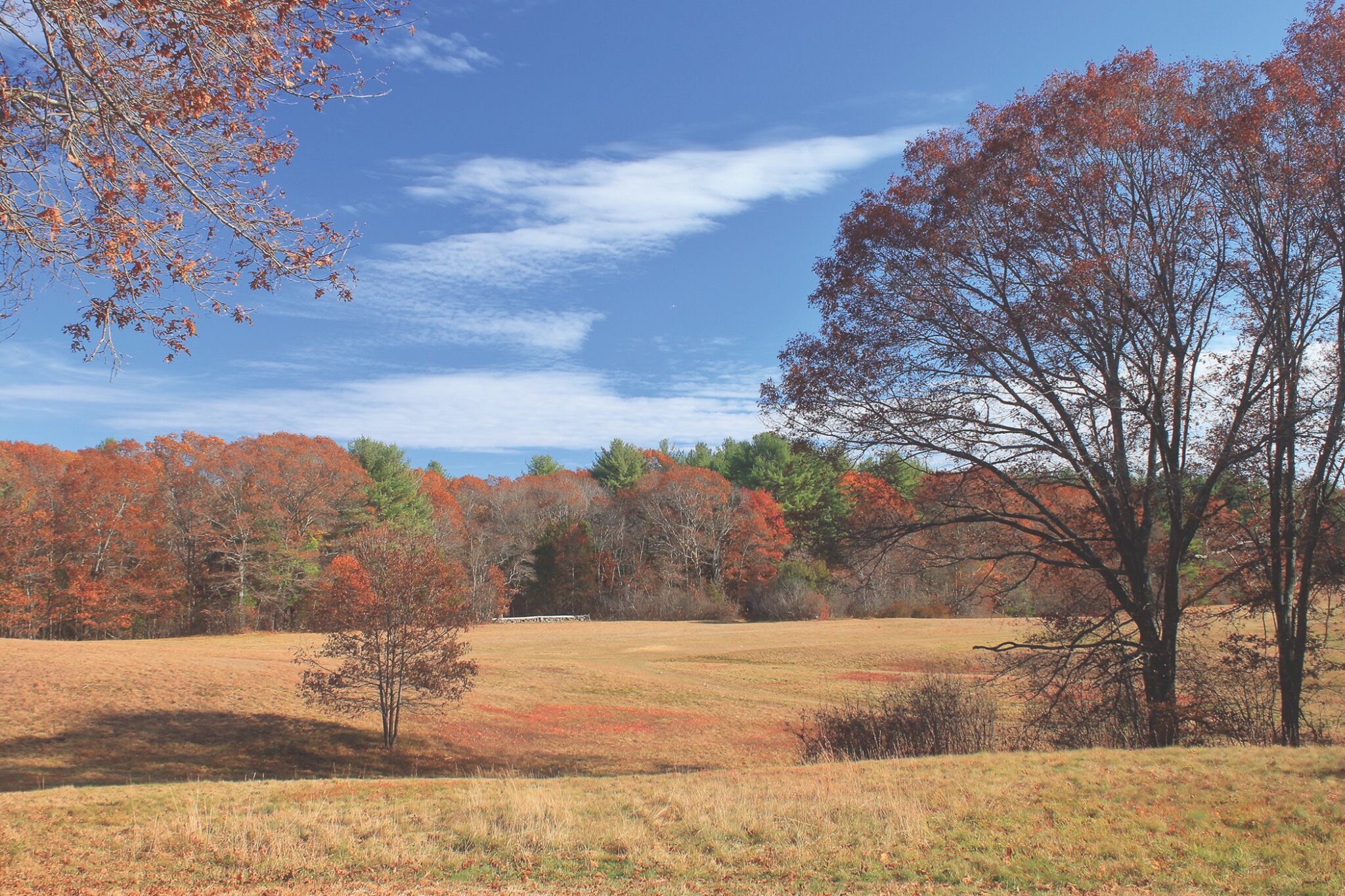 6 Places to Day Hike on the Bay Circuit Trail | Appalachian Mountain ...