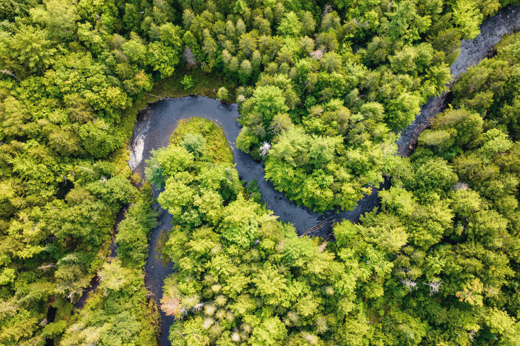 Coexistence is Key: Responsible Forestry in the Maine Woods ...