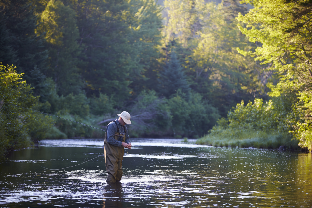 Wild Atlantic Salmon Recovery in Maine: The “King of Fish” Makes a ...