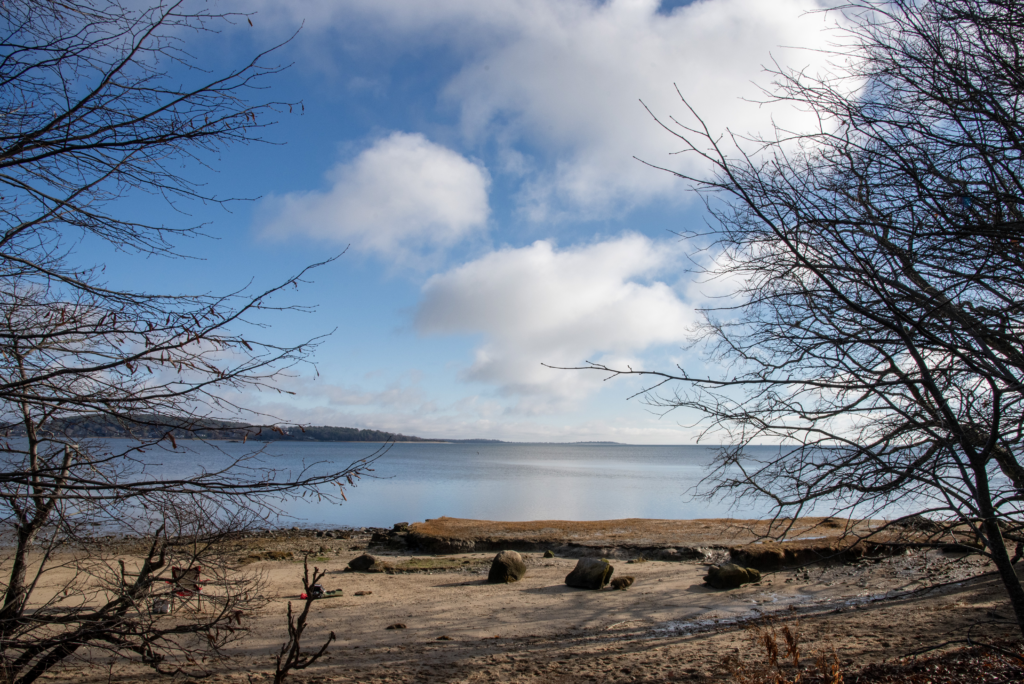 Ultra Running the Bay Circuit Trail: A Conversation With Cole Crosby ...